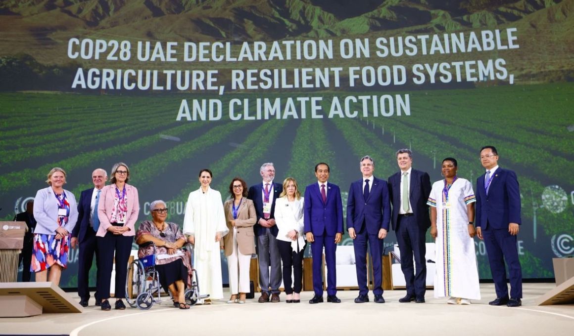 COP28: 134 countries pledge to integrate food in climate strategies